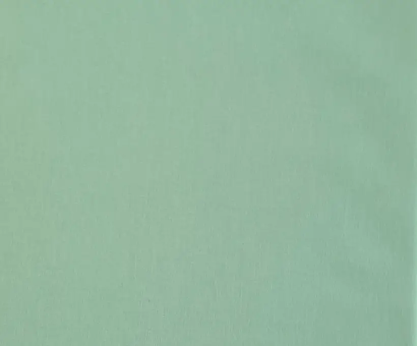 Minty Green Plain - Beaute Quilt Fabrics